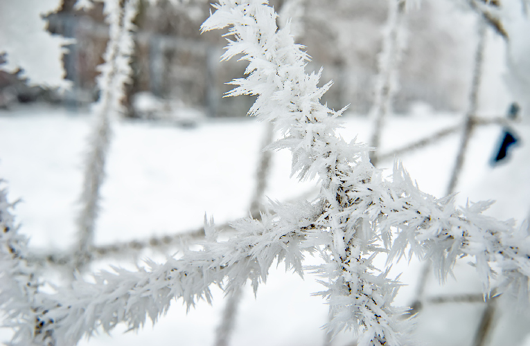 The Importance of Grid Reliability - Itron